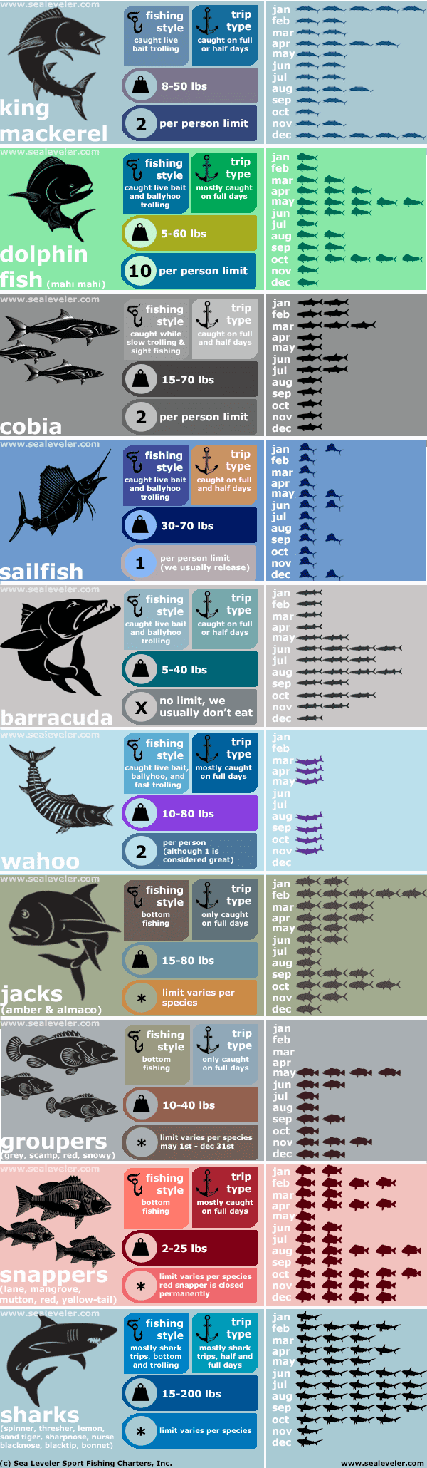 Florida Fishing Seasons | Fish Caught by Month Infographic
